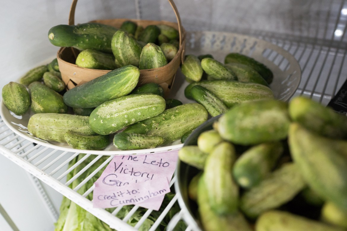 Urban Farm Stand Brings Sustainable Produce to Southtown
