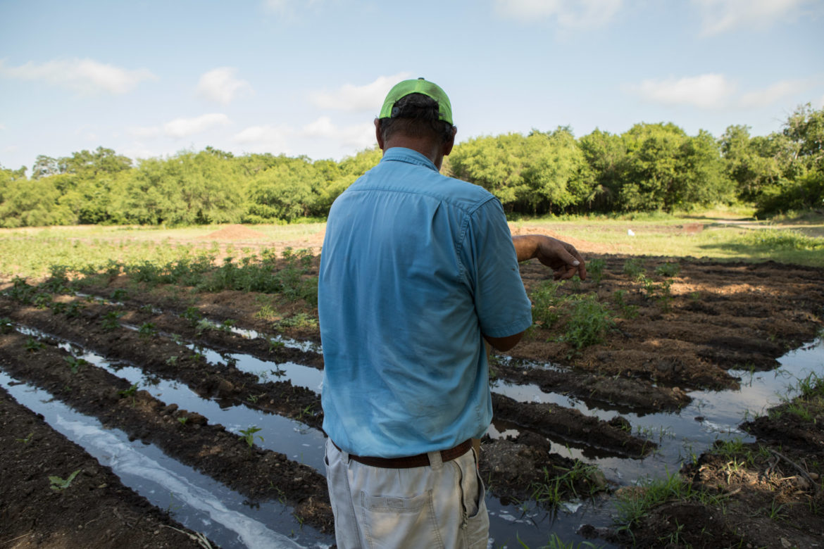 How did the irrigation system help establish Texas government?
