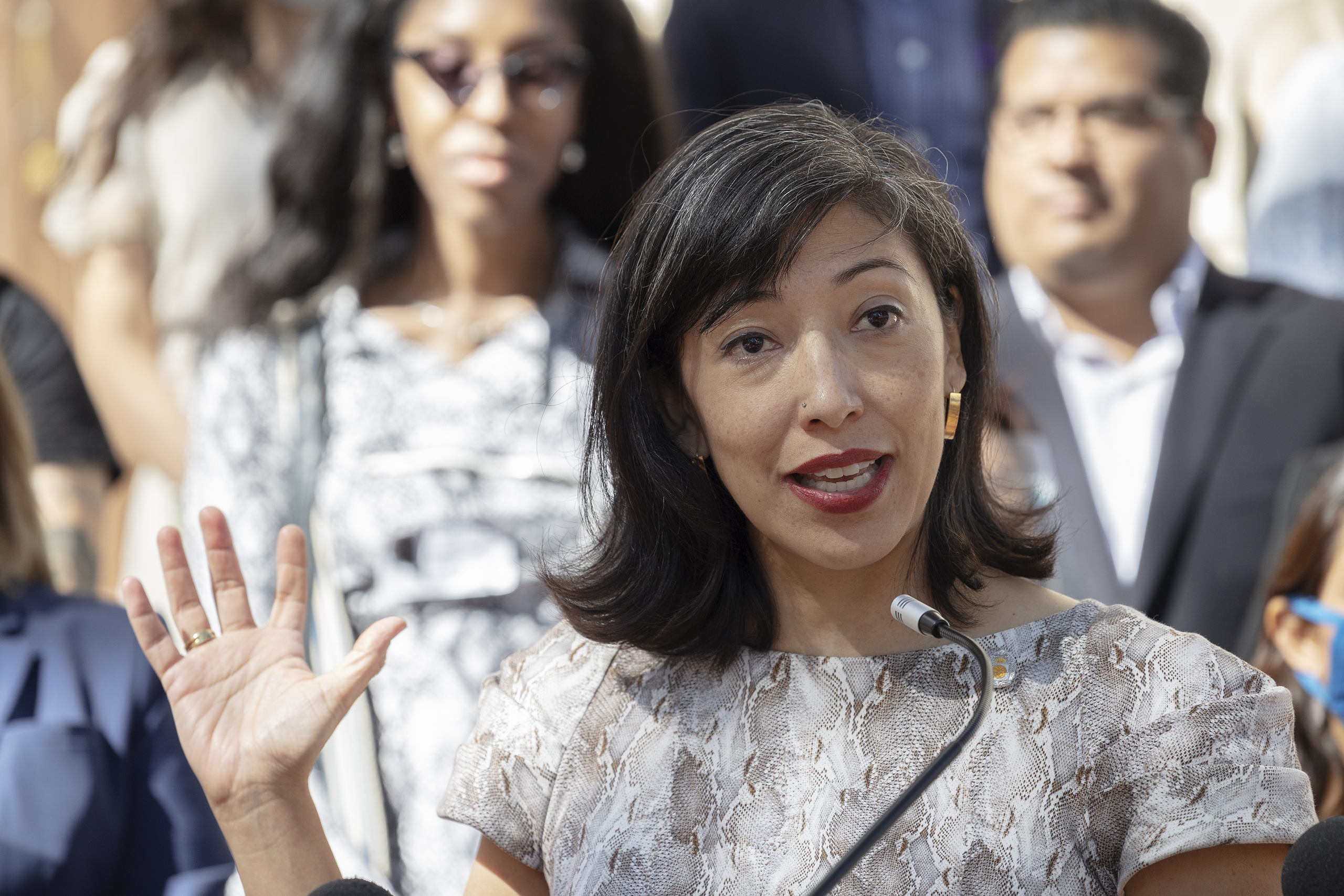 Councilwoman Ana Sandoval won't finish term