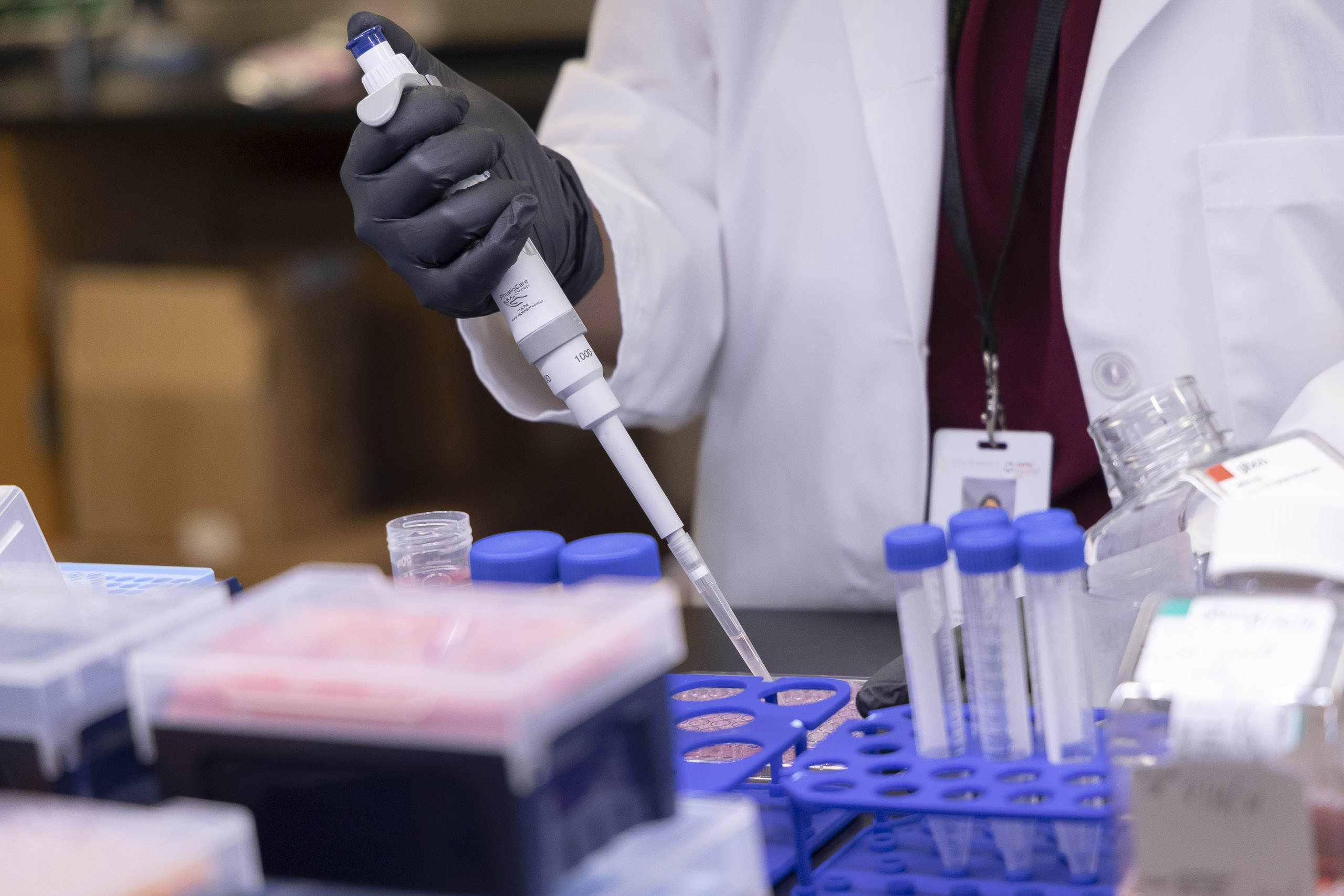 Texas Biomed receives NIH grant to develop tuberculosis vaccines
