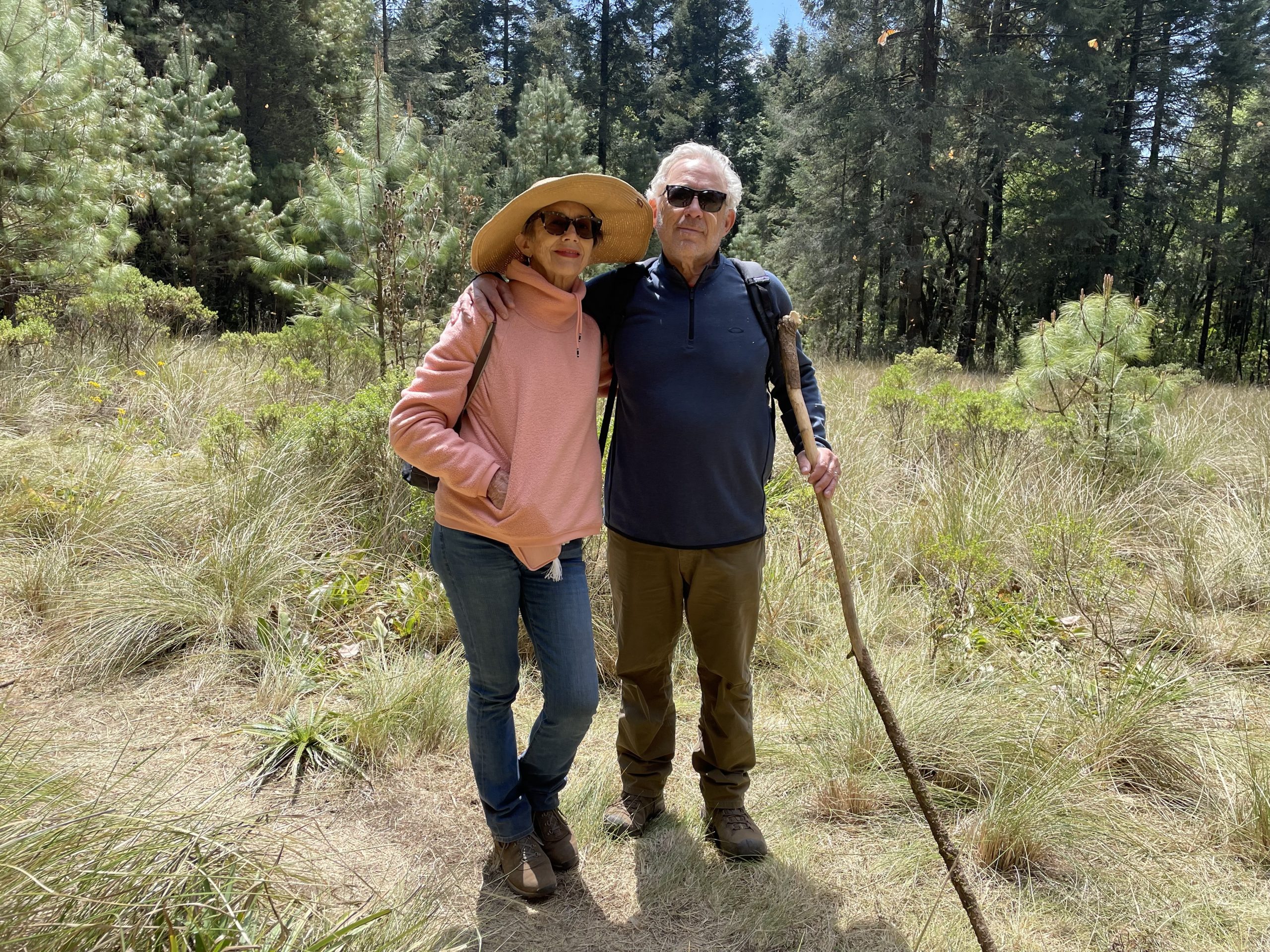 After the long pandemic, a magical sojourn with the monarchs in México