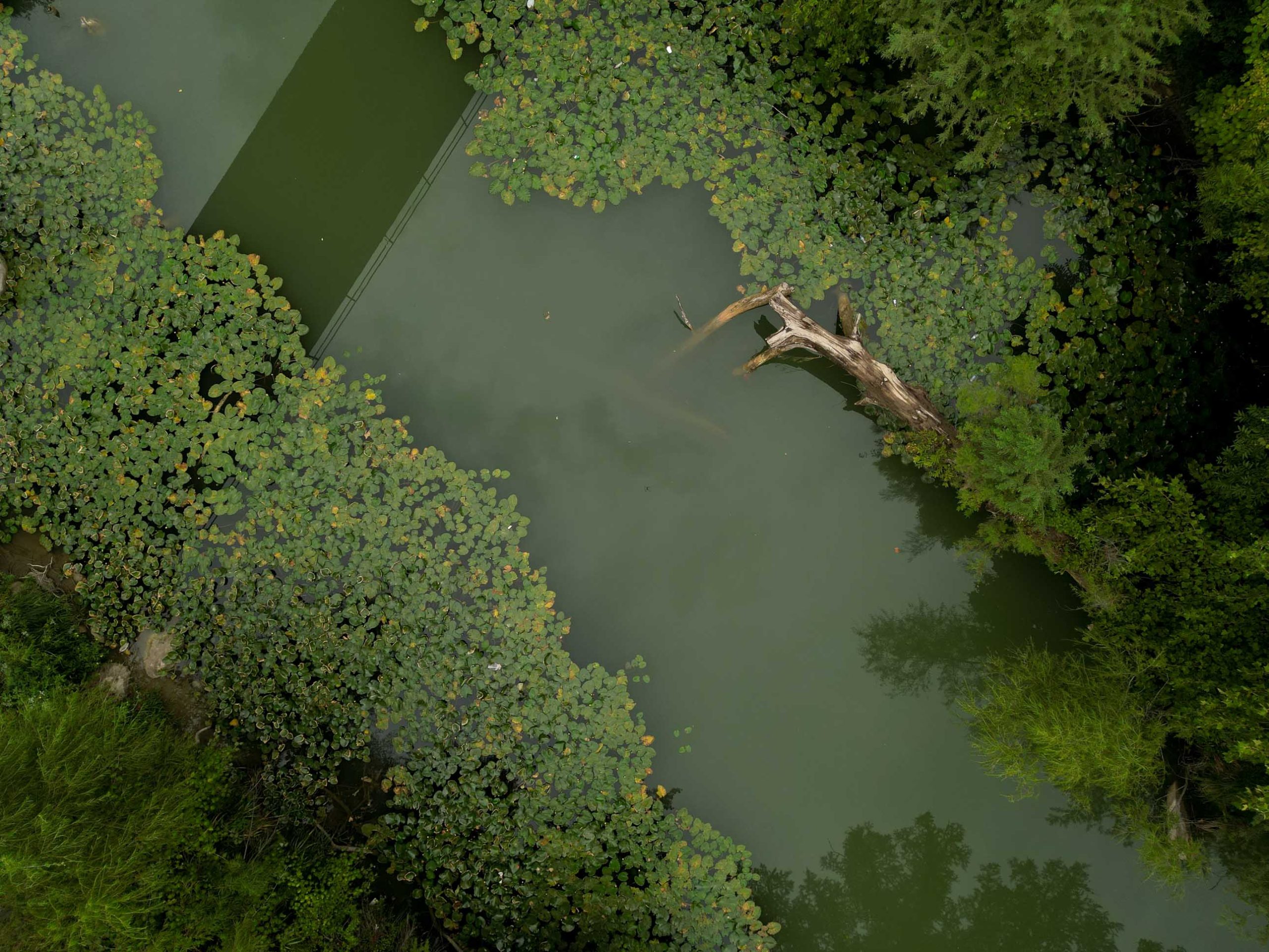 Plan in the works to help improve the Medina River's water quality