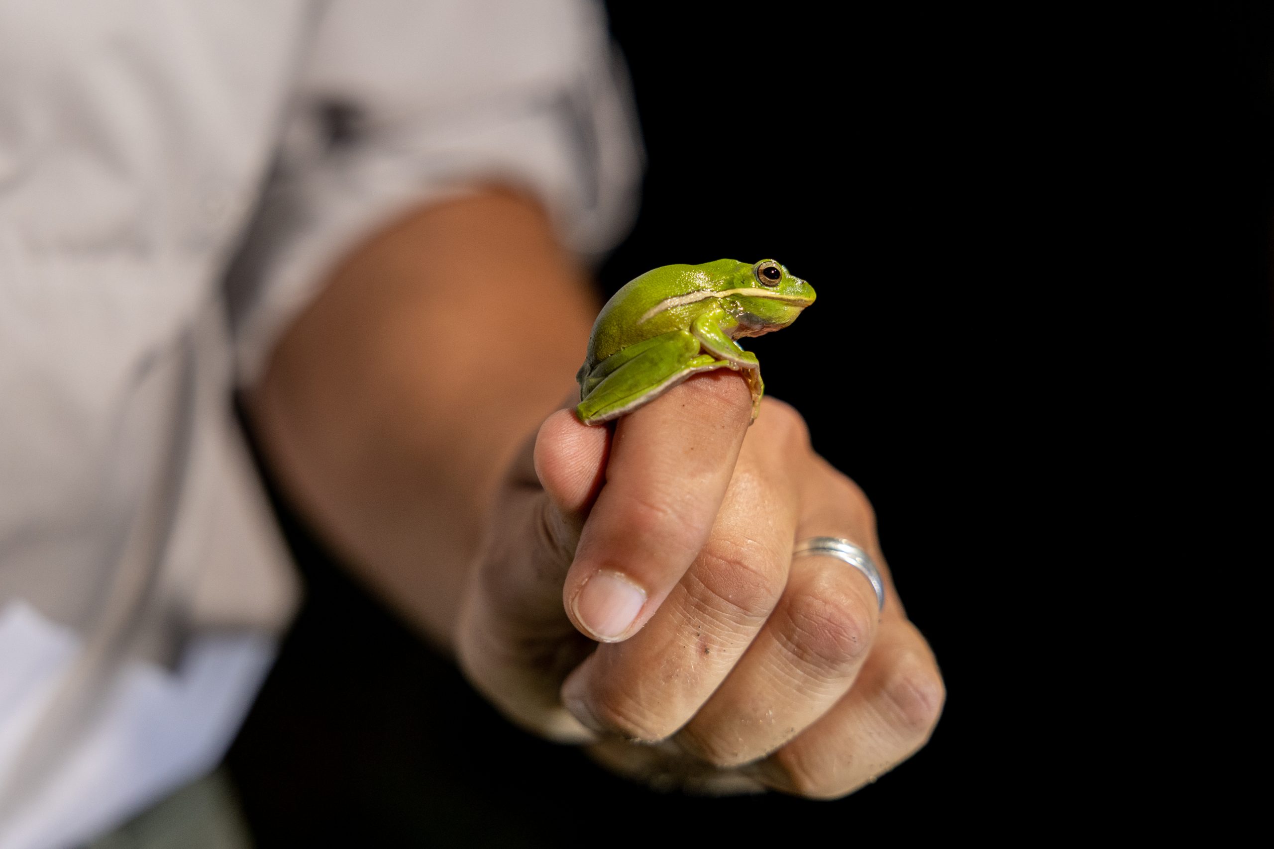 Why two Hill Country landowners are counting frogs on their ranch